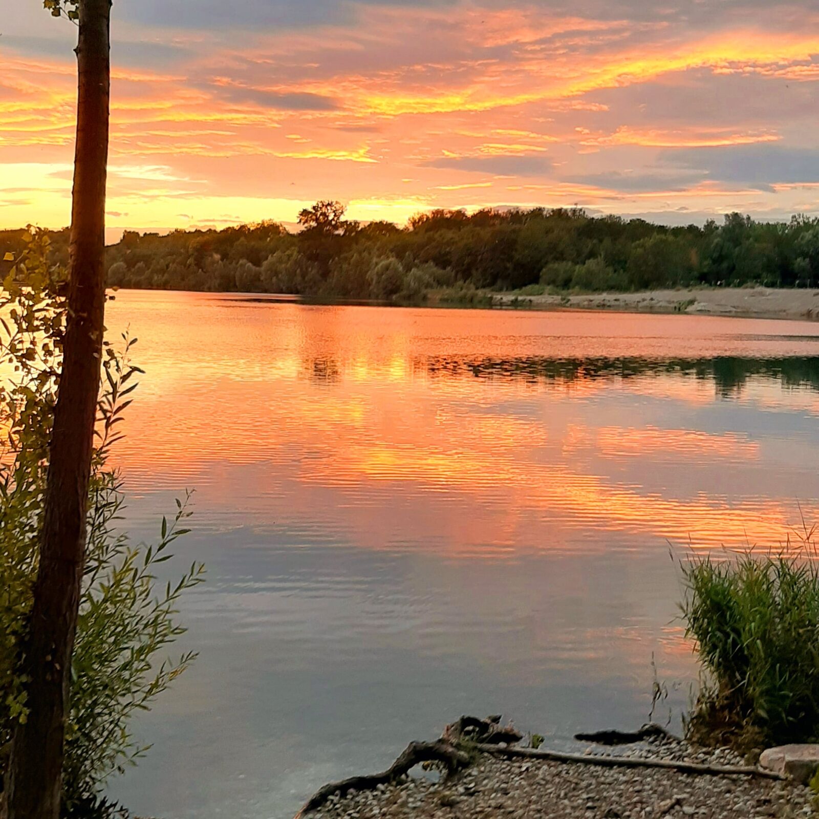 Baggersee Greffern – Anglerbund Bühl